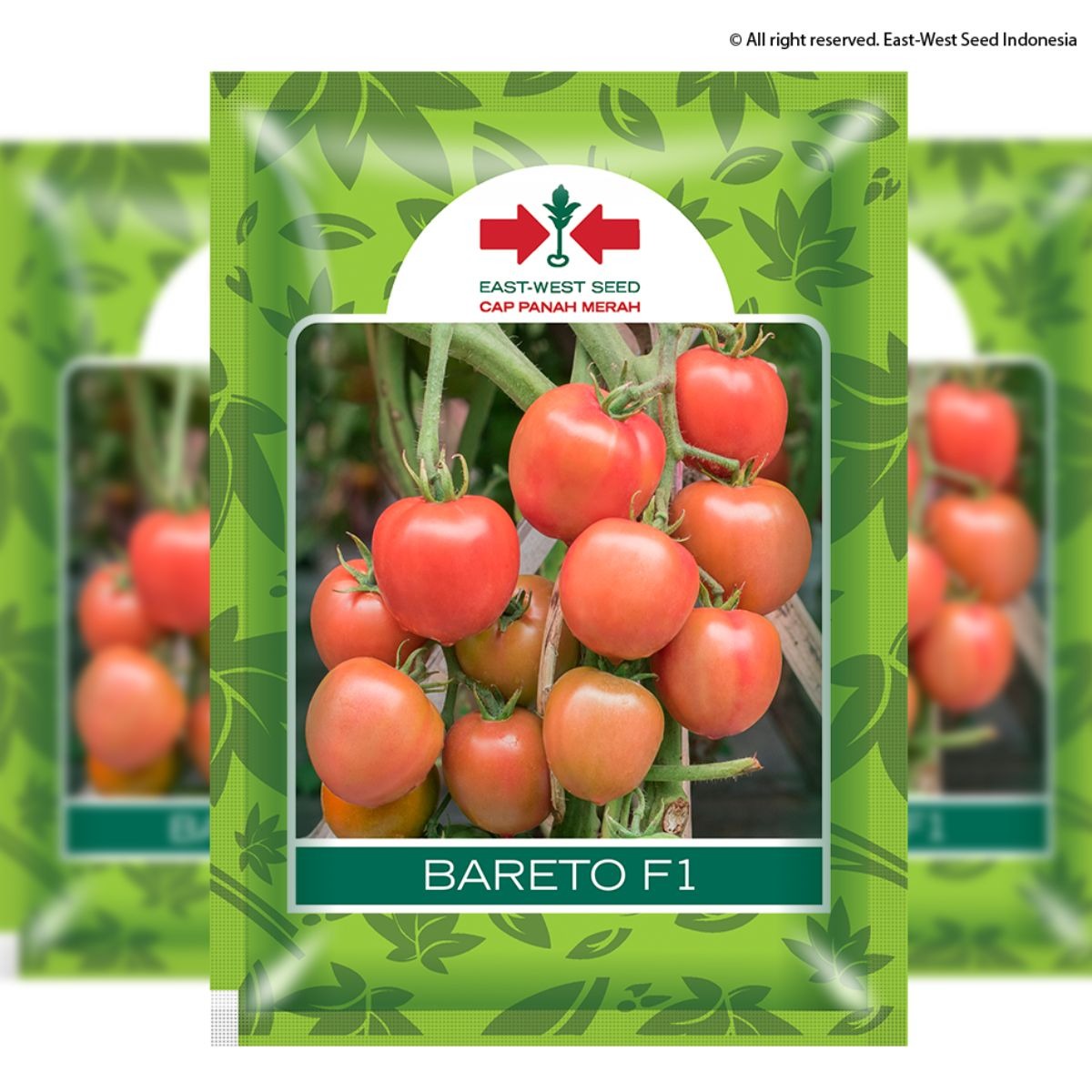 Product | PT East West Seed Indonesia