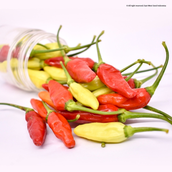 Product | PT East West Seed Indonesia